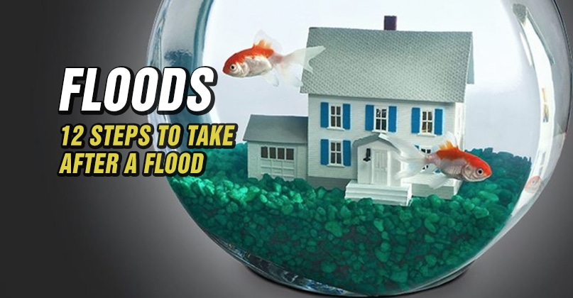12 Steps After A Flood | Make It Right®
