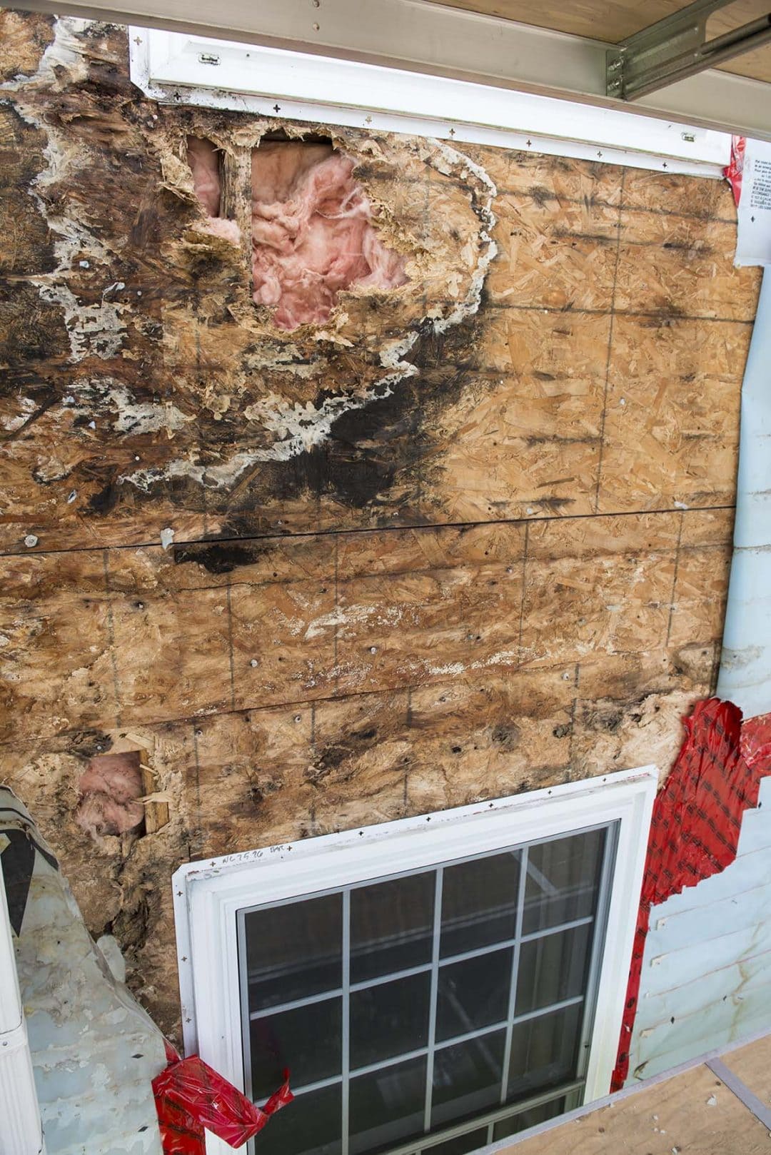 How To Remove A Musty Smell In Your House - Make It Right®